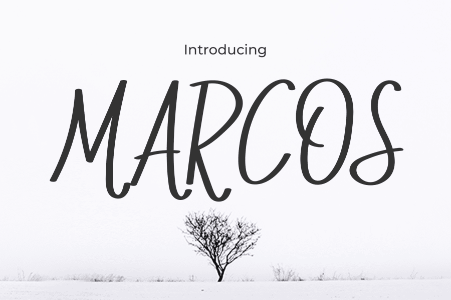 Marcos Font · 1001 Fonts