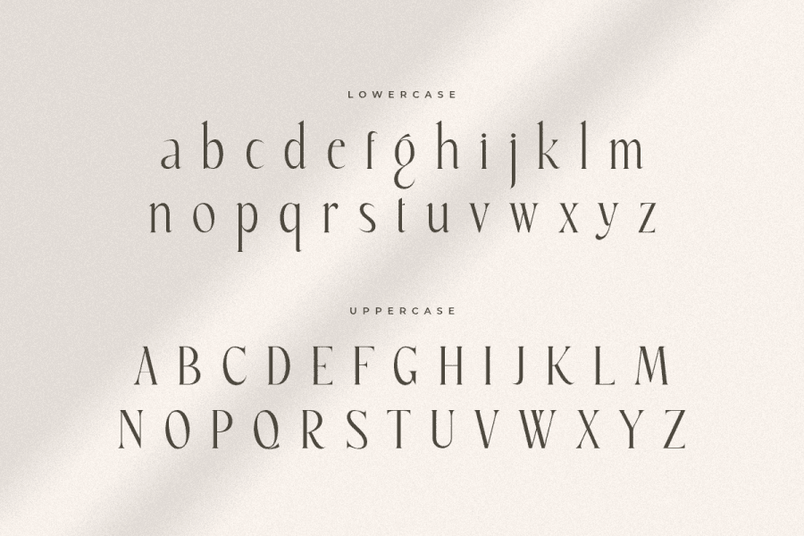 Margaret Font · 1001 Fonts