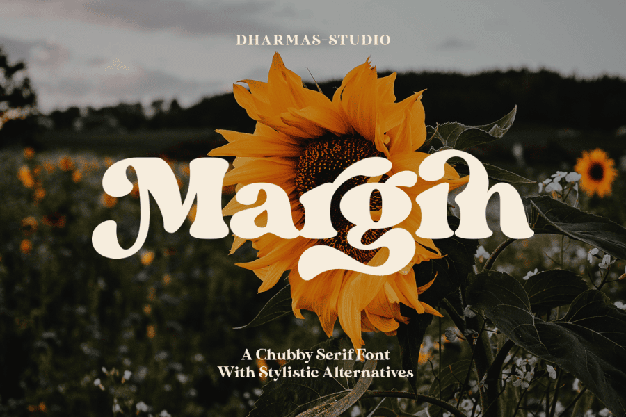 Margin DEMO Font · 1001 Fonts