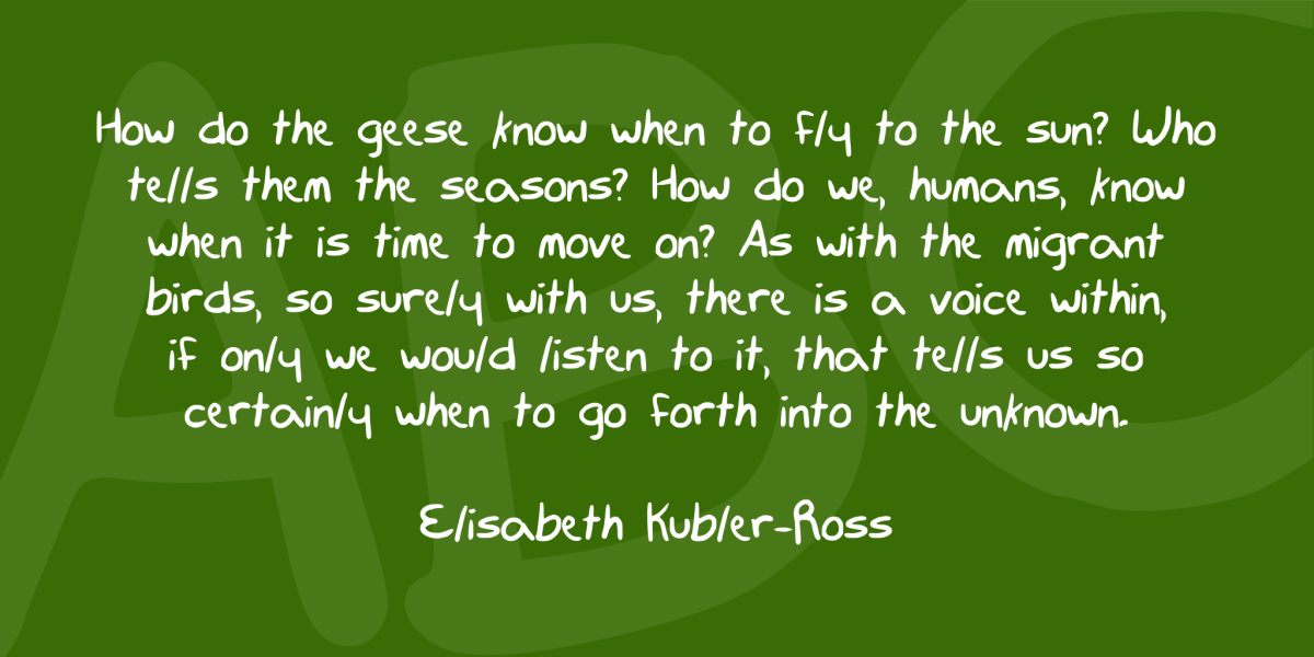 Marie Font · 1001 Fonts