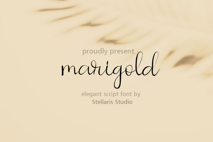 marigold Font · 1001 Fonts
