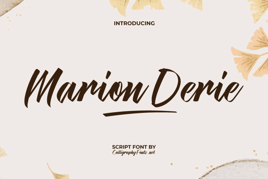 Marion Derie Demo Font · 1001 Fonts