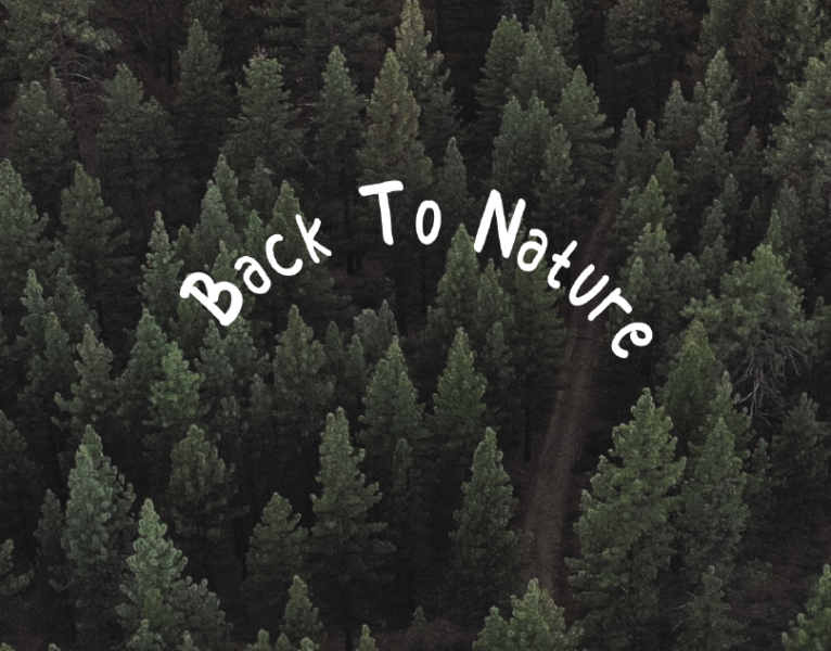 Marion Font · 1001 Fonts