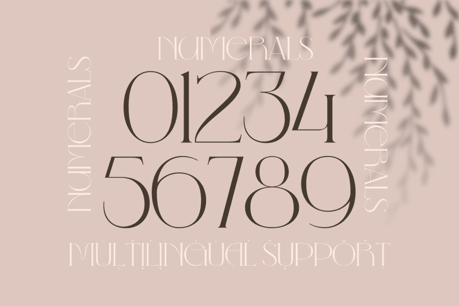 Maroon Black Font · 1001 Fonts
