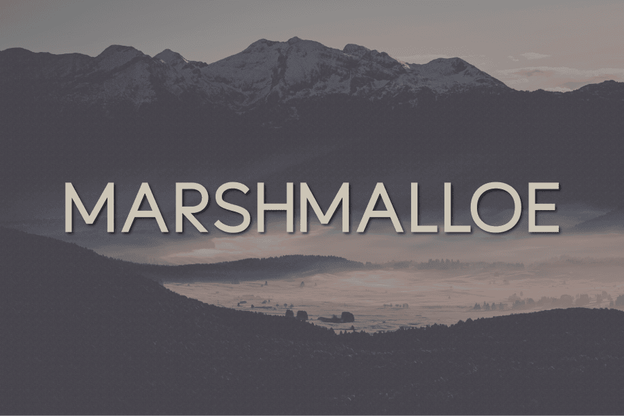Marshmalloe Font · 1001 Fonts
