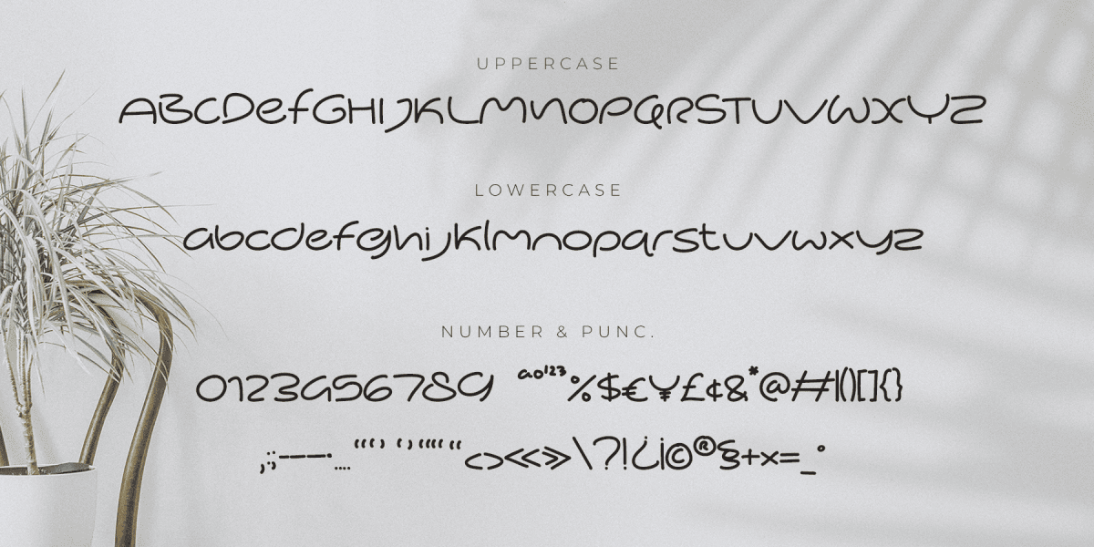 Masio Font · 1001 Fonts