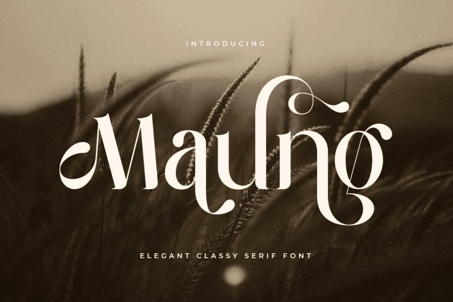 Maung Font · 1001 Fonts