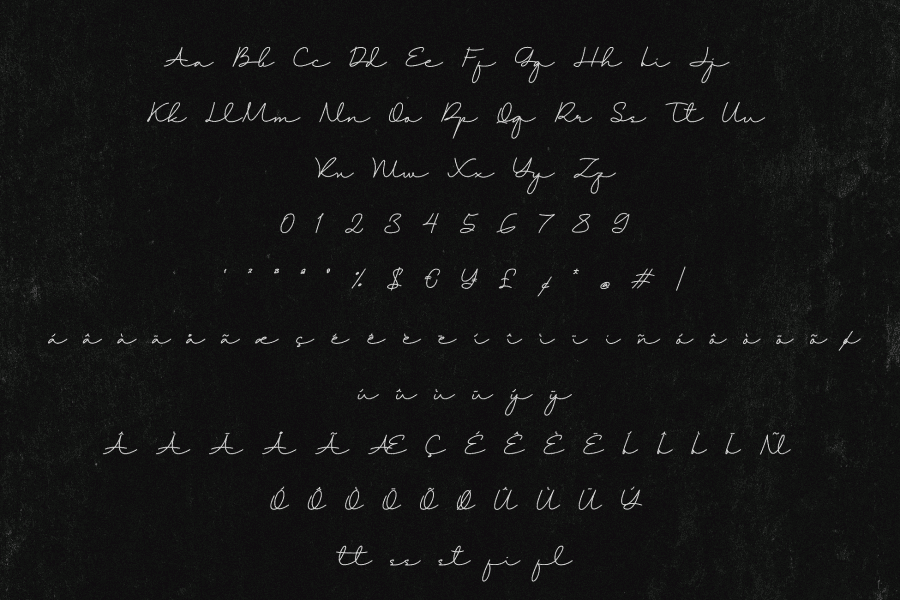 Mefinast Script Font · 1001 Fonts