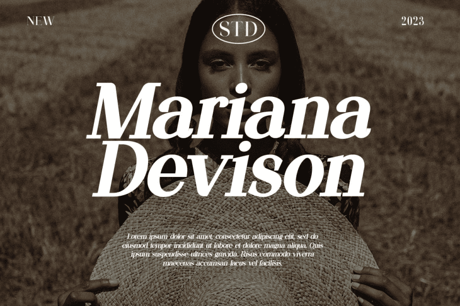 Meganfolk Font Family · 1001 Fonts