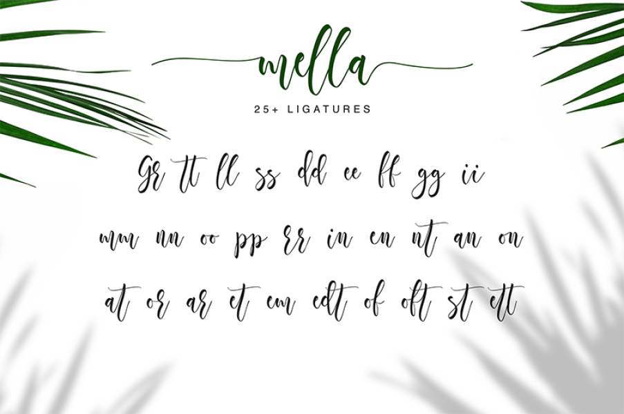 beningtype by. Letteratom · 1001 Fonts