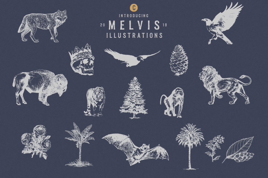 Melvis Font · 1001 Fonts