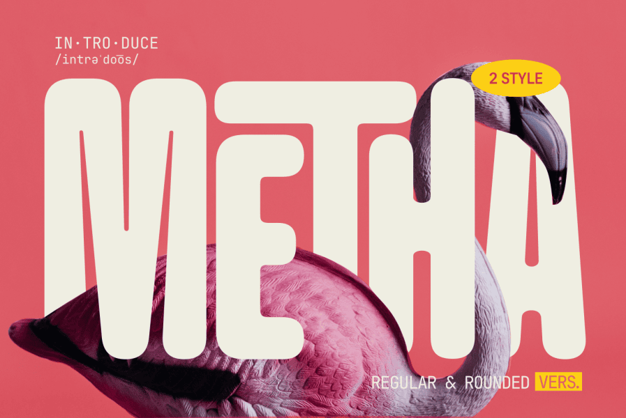 Metha Font Family · 1001 Fonts