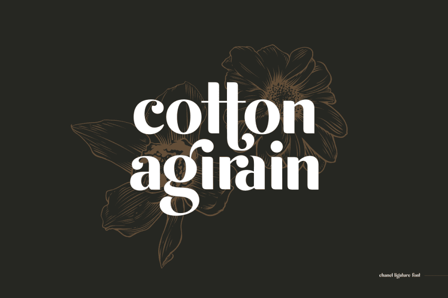 michael Font · 1001 Fonts