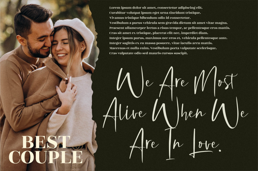 Michigan Custom Font Family · 1001 Fonts