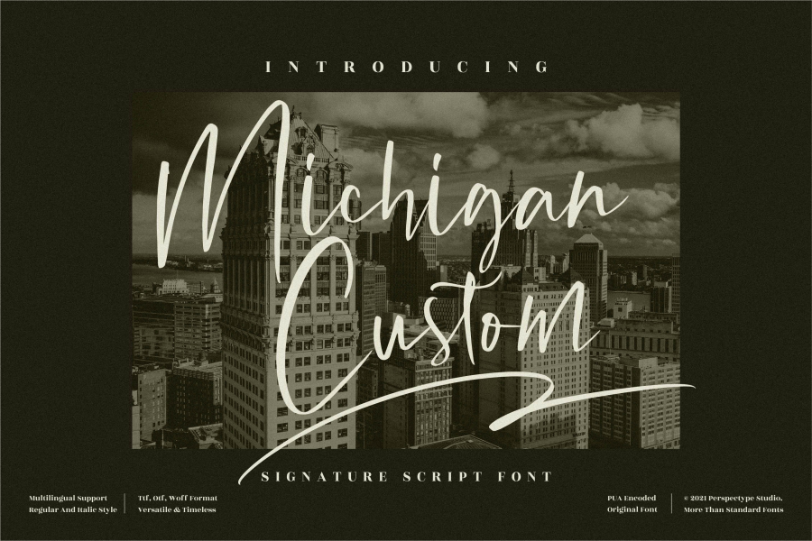 Michigan Custom Font Family · 1001 Fonts