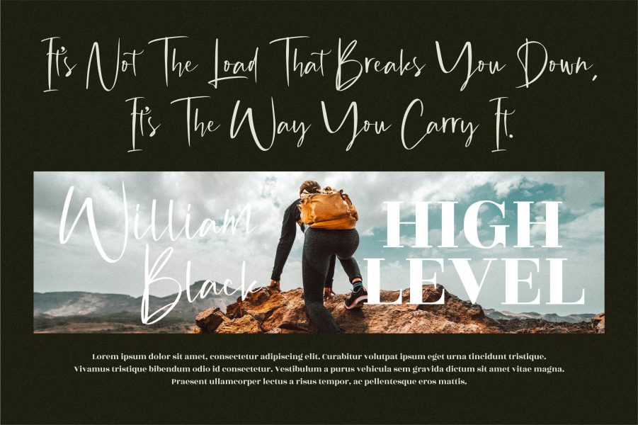 Michigan Custom Font Family · 1001 Fonts