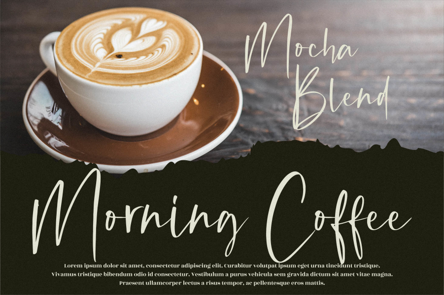 Michigan Custom Font Family · 1001 Fonts