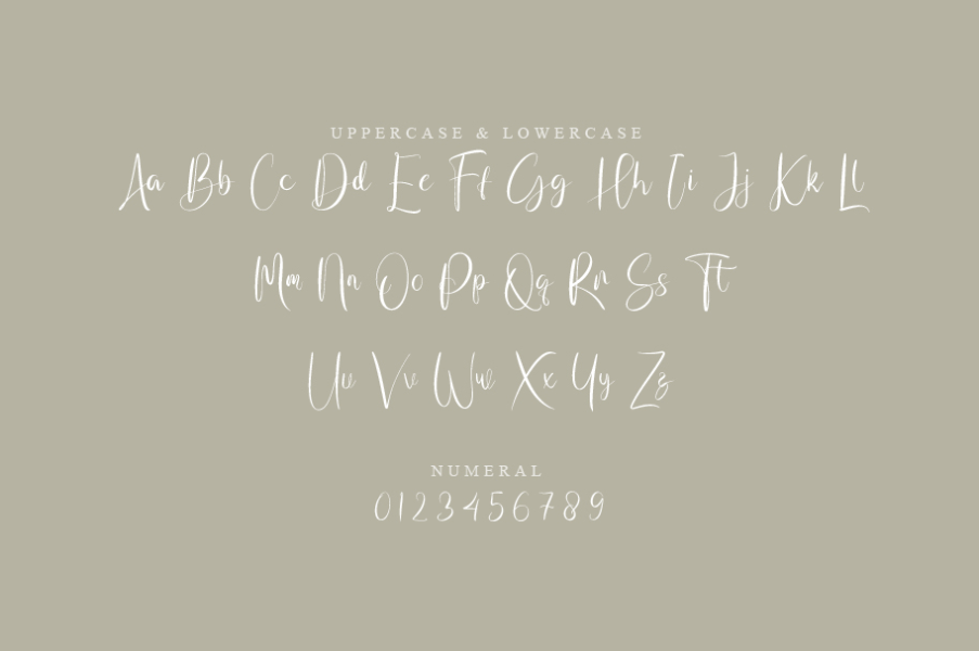 Mick Font · 1001 Fonts