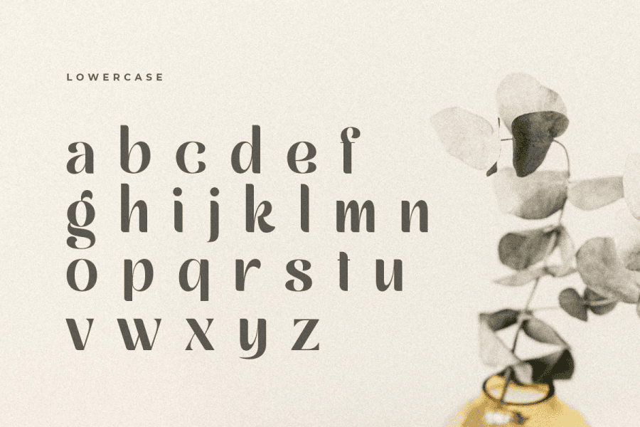 Mikayla Font · 1001 Fonts