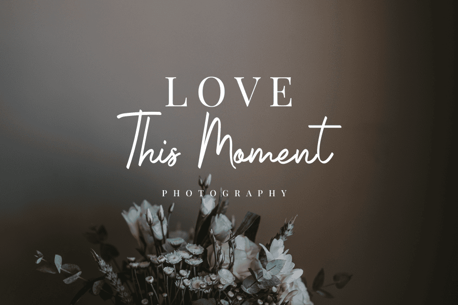 Miranda Wolding Font · 1001 Fonts