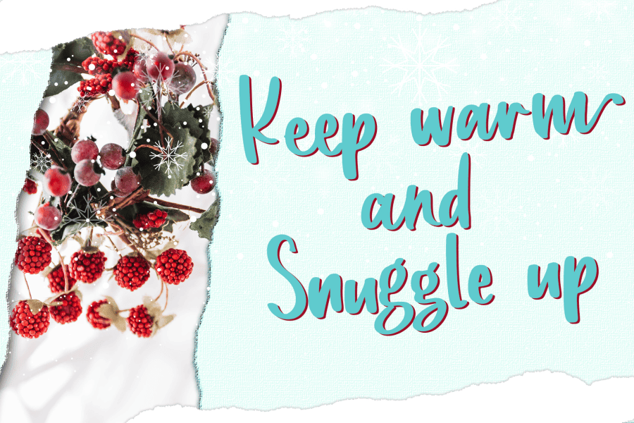 Mistletoes Font · 1001 Fonts