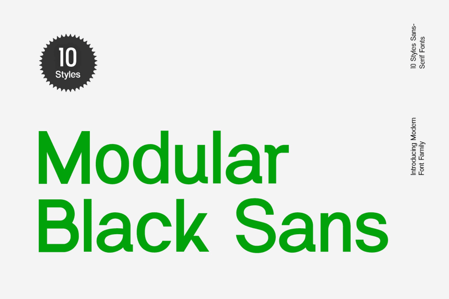 Modular Black Sans Font Family · 1001 Fonts