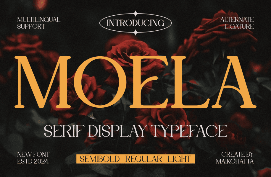 MOELA Font Family · 1001 Fonts