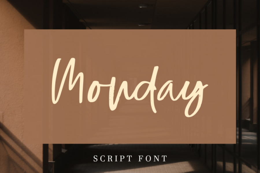 Monday Script Font Font · 1001 Fonts