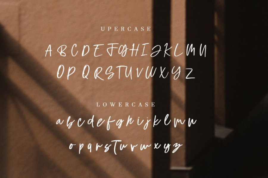 Monday Script Font Font · 1001 Fonts