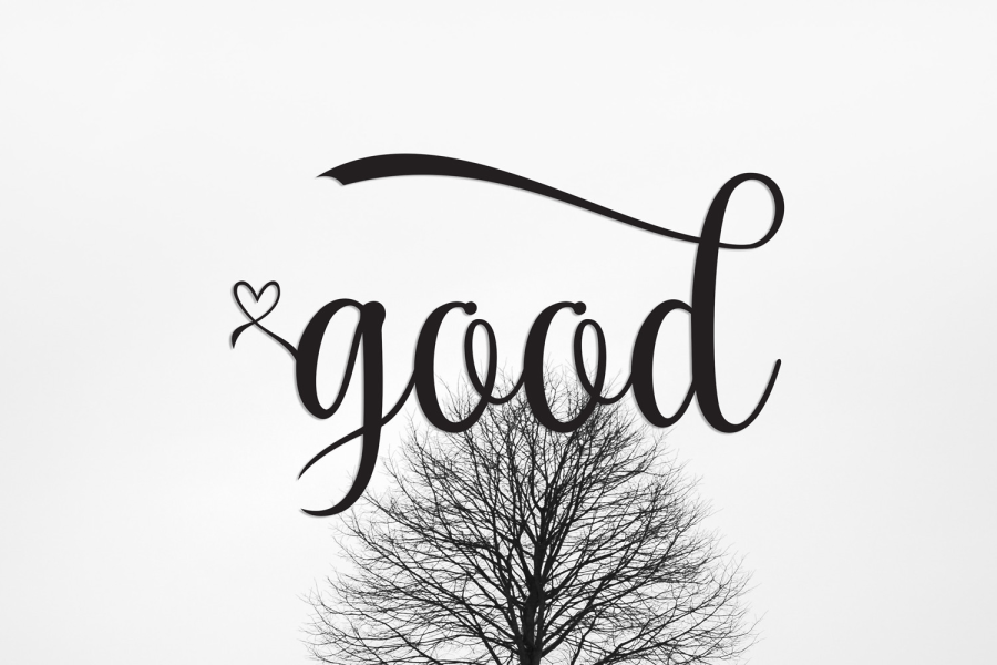 Monika Font · 1001 Fonts