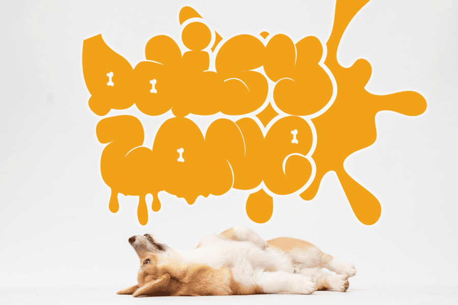 Monk Bones Font · 1001 Fonts