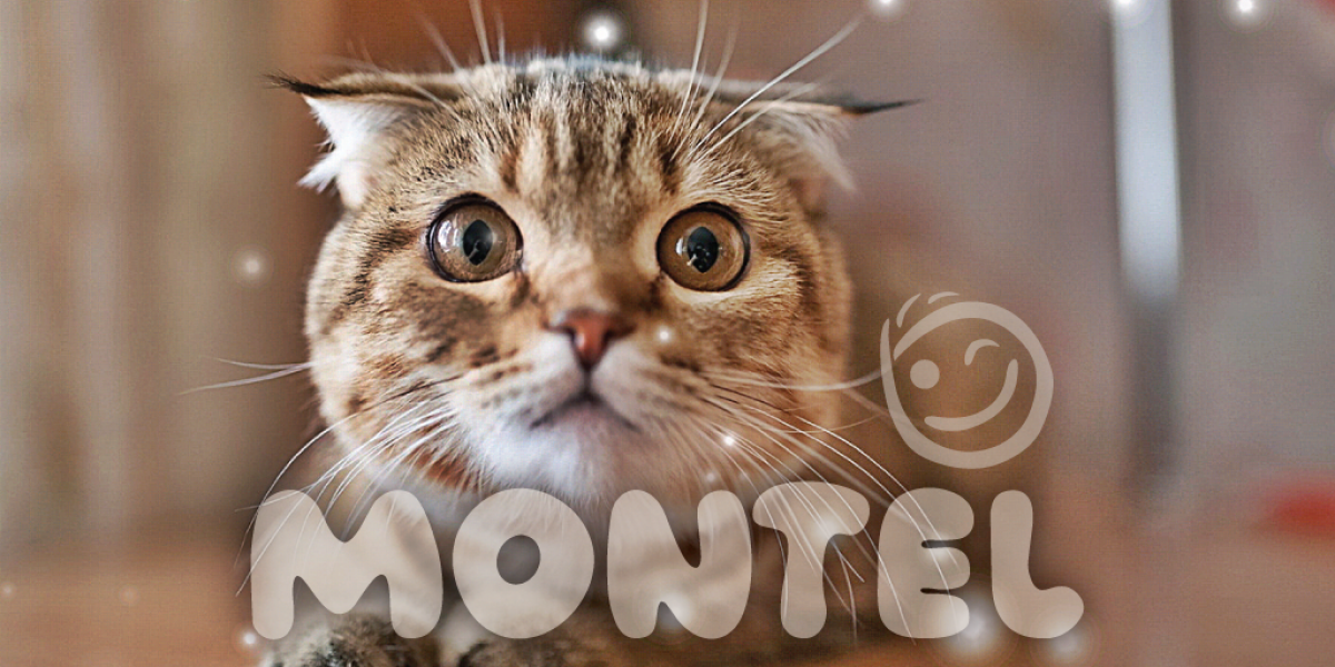 Montel Font · 1001 Fonts