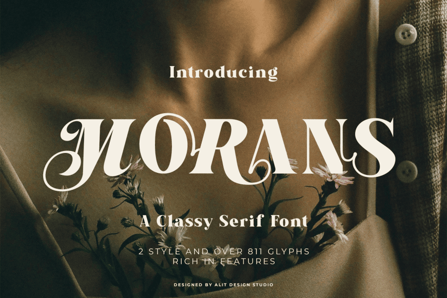1 Free Customizable Serif Font · 1001 Fonts