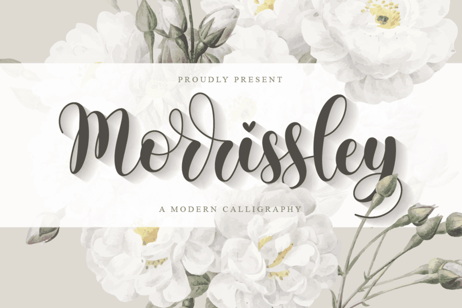 Morrissley Script Font · 1001 Fonts