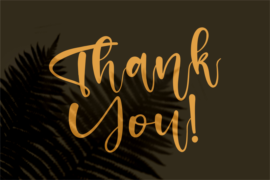 Mustard Font Family · 1001 Fonts