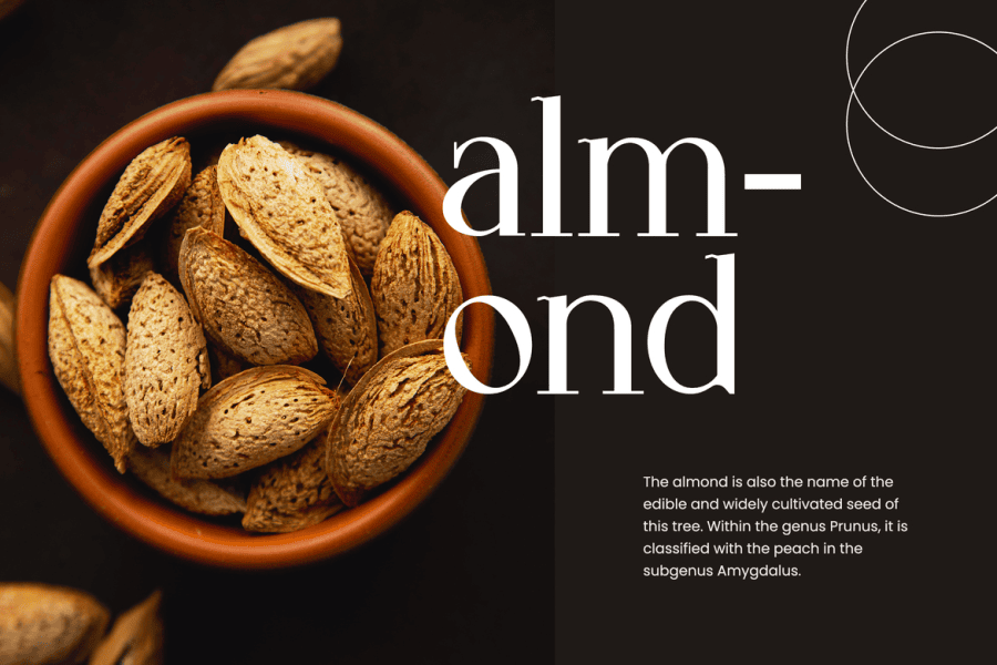 Mythology Font · 1001 Fonts