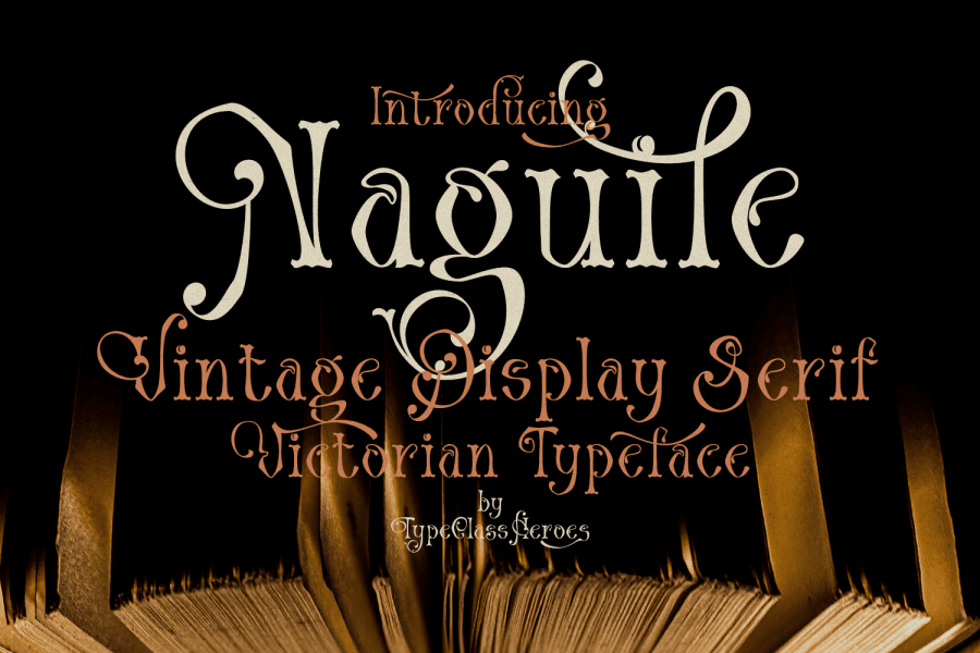 Naguile DEMO Font · 1001 Fonts