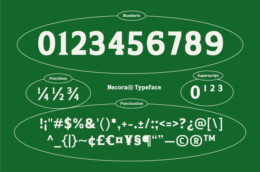 Necora Demo Font · 1001 Fonts
