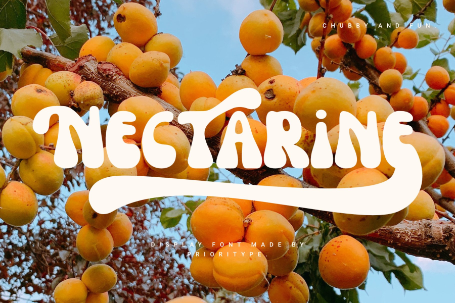 Nectarine DEMO Font · 1001 Fonts