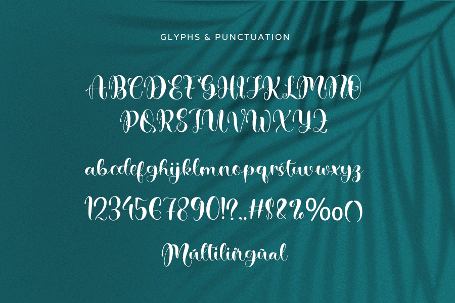 Nektar Font · 1001 Fonts