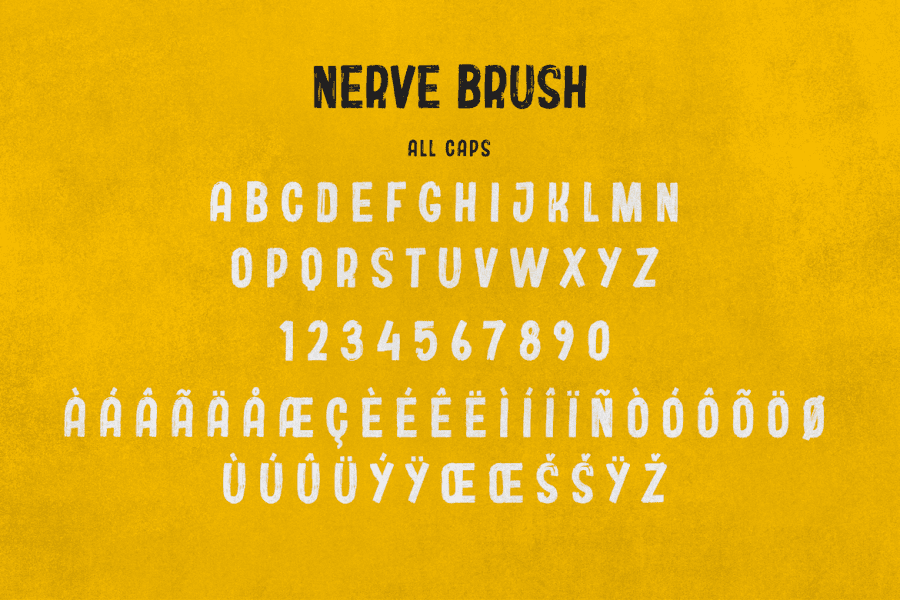 Nerve Brush Font · 1001 Fonts
