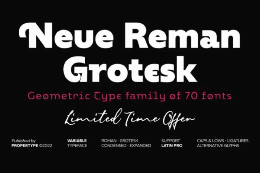 Neue Reman Gt Font Family · 1001 Fonts