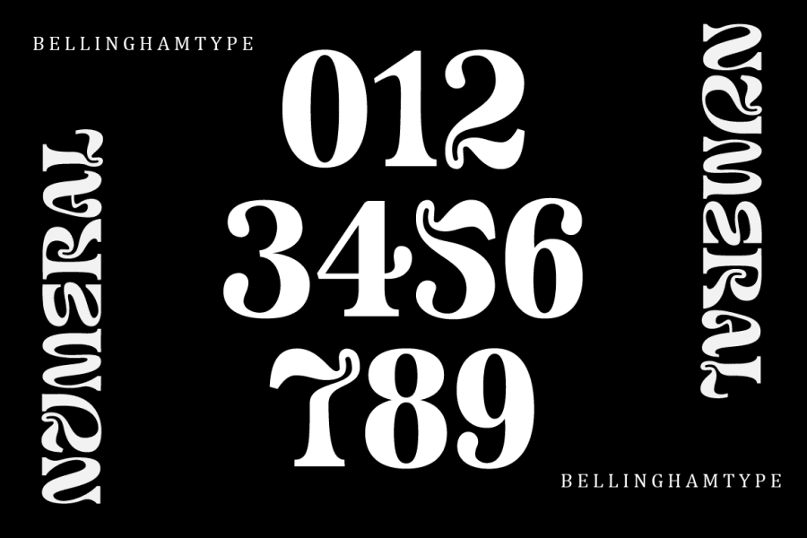 Iconic Font How To Style Text Using Variable Fonts.