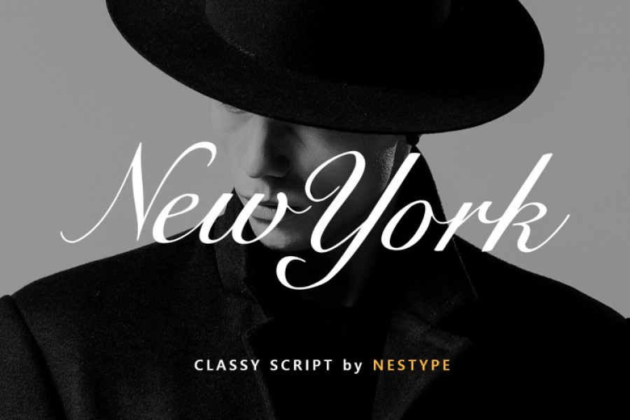 New York Font Font · 1001 Fonts