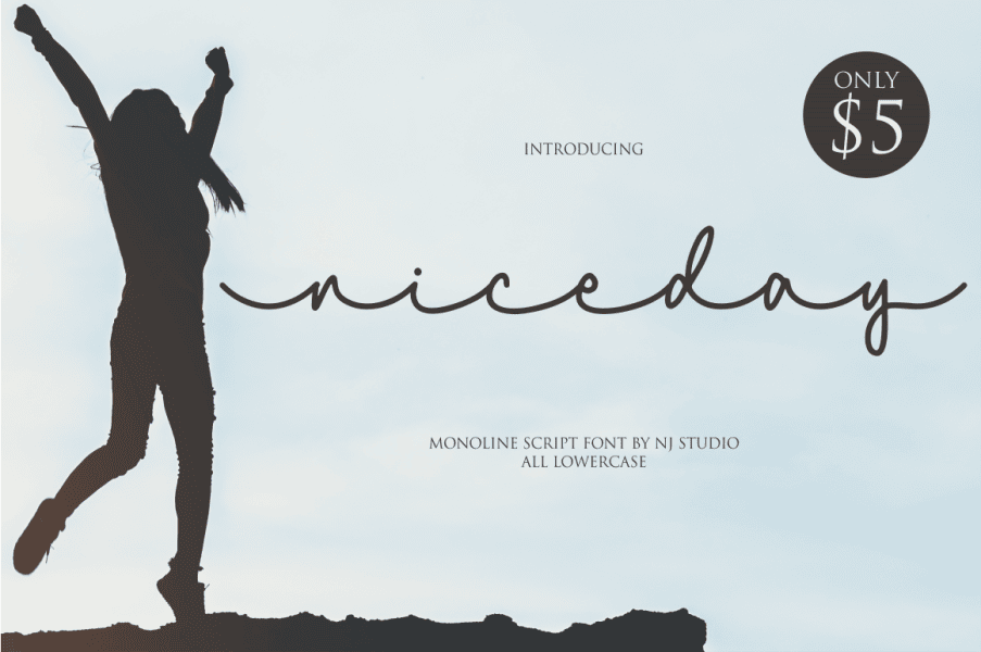 niceday Font · 1001 Fonts
