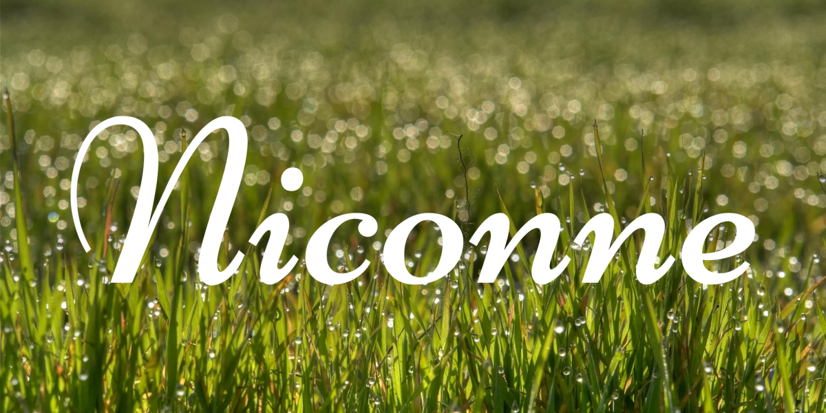 Niconne Font · 1001 Fonts