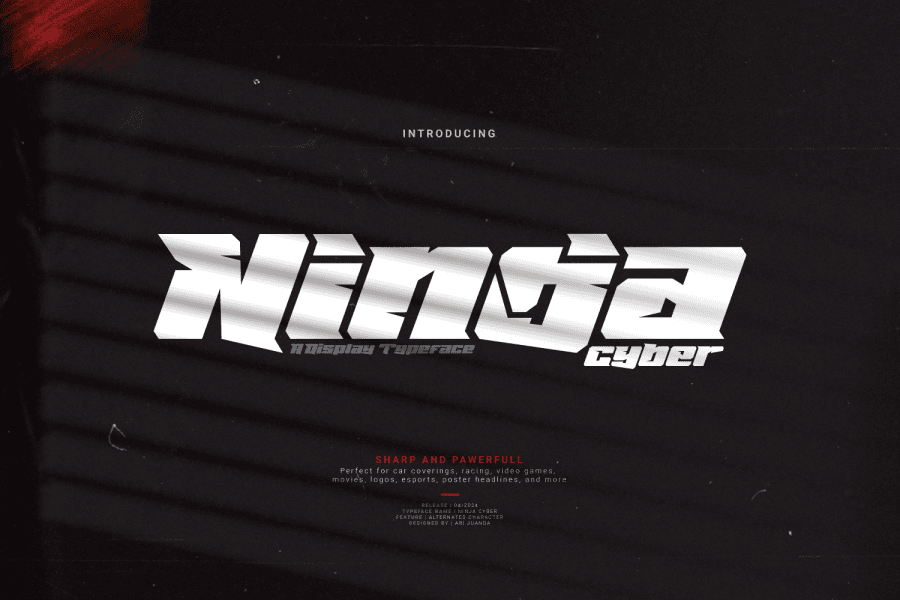 Ninja Cyber Font · 1001 Fonts