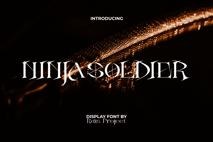 Ninja Soldier Demo Font · 1001 Fonts