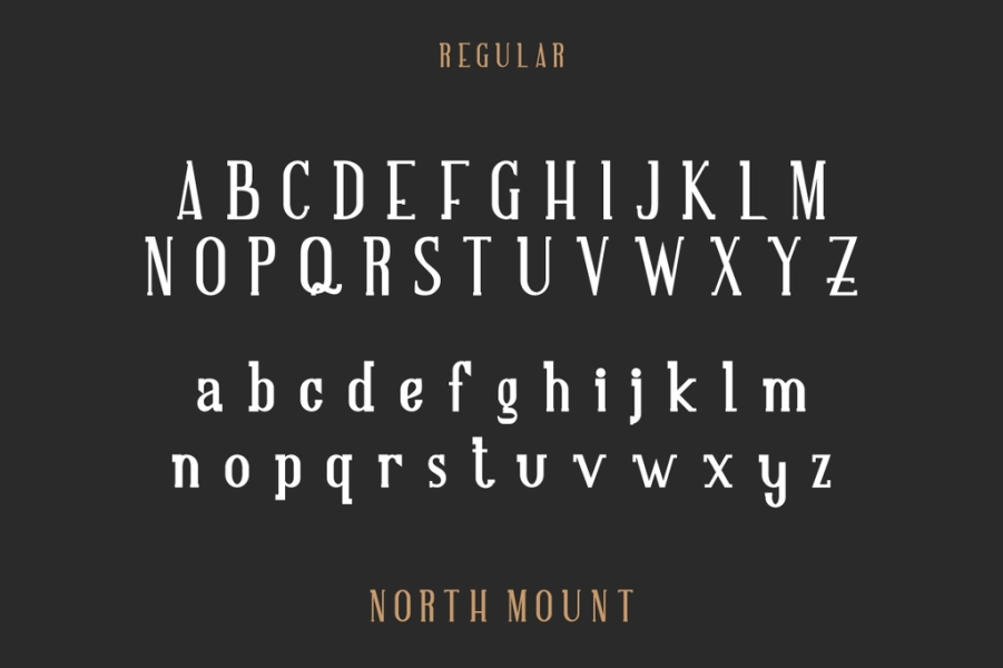 NORTH MOUNT DEMO Font Family · 1001 Fonts