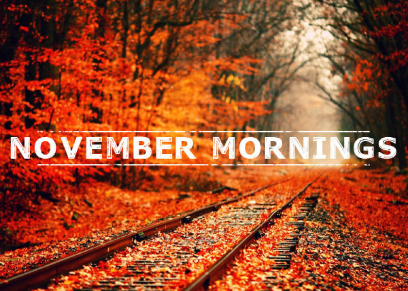 November Mornings Font · 1001 Fonts